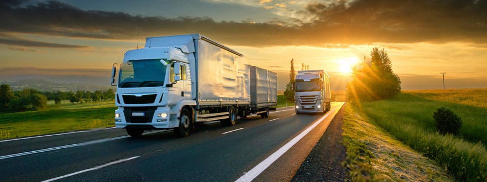 Home | OPEN LINK Co., Ltd. | Logistics & Freight Forwarder